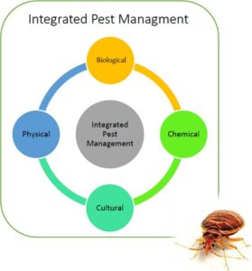 Commercial Pest Control | Axiom Pest Management Inc